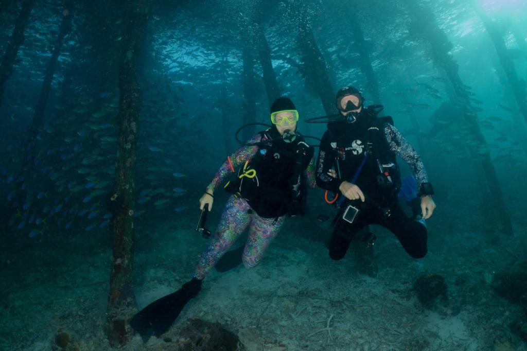 Under the Sea – Our Scuba Stories – The Modern Nomads